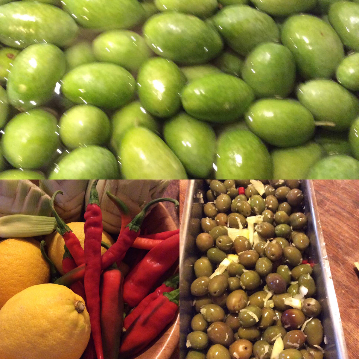 Preparing some table olives – DeliciouslyOrganicEVO