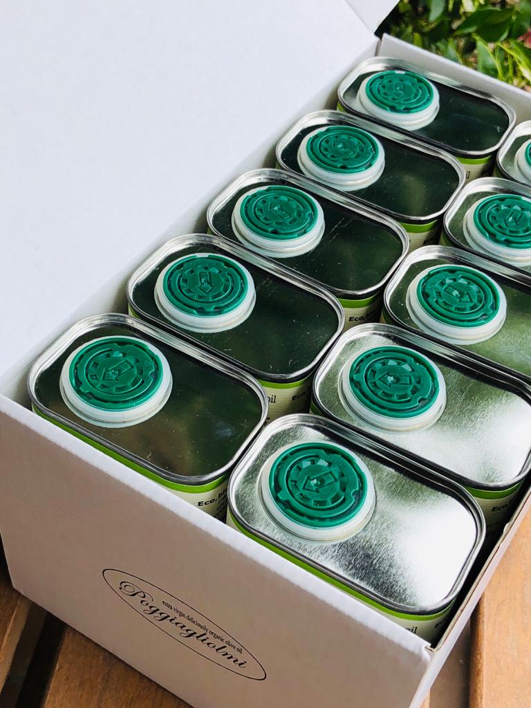 Box of ten 250ml cans – DeliciouslyOrganicEVO